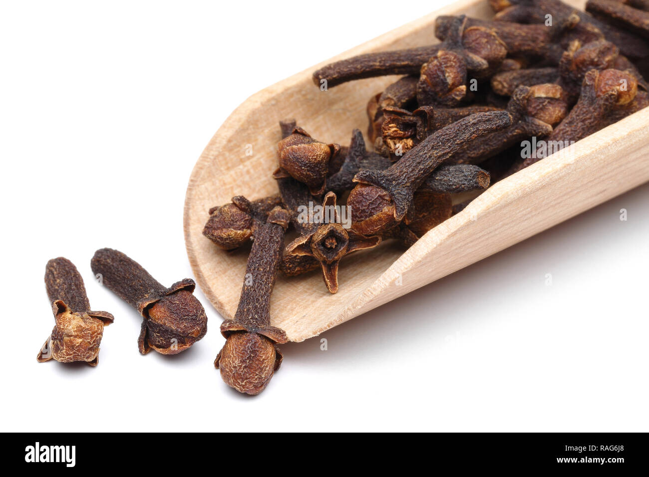 Clove buds in wooden scoop isolated on white background. Macro, studio ...