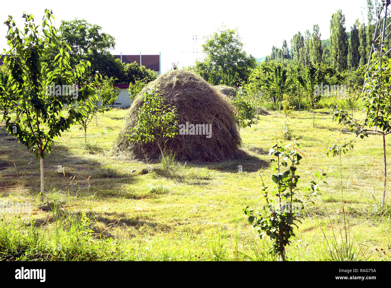 Hay Stack Vintage High Resolution Stock Photography and Images - Alamy