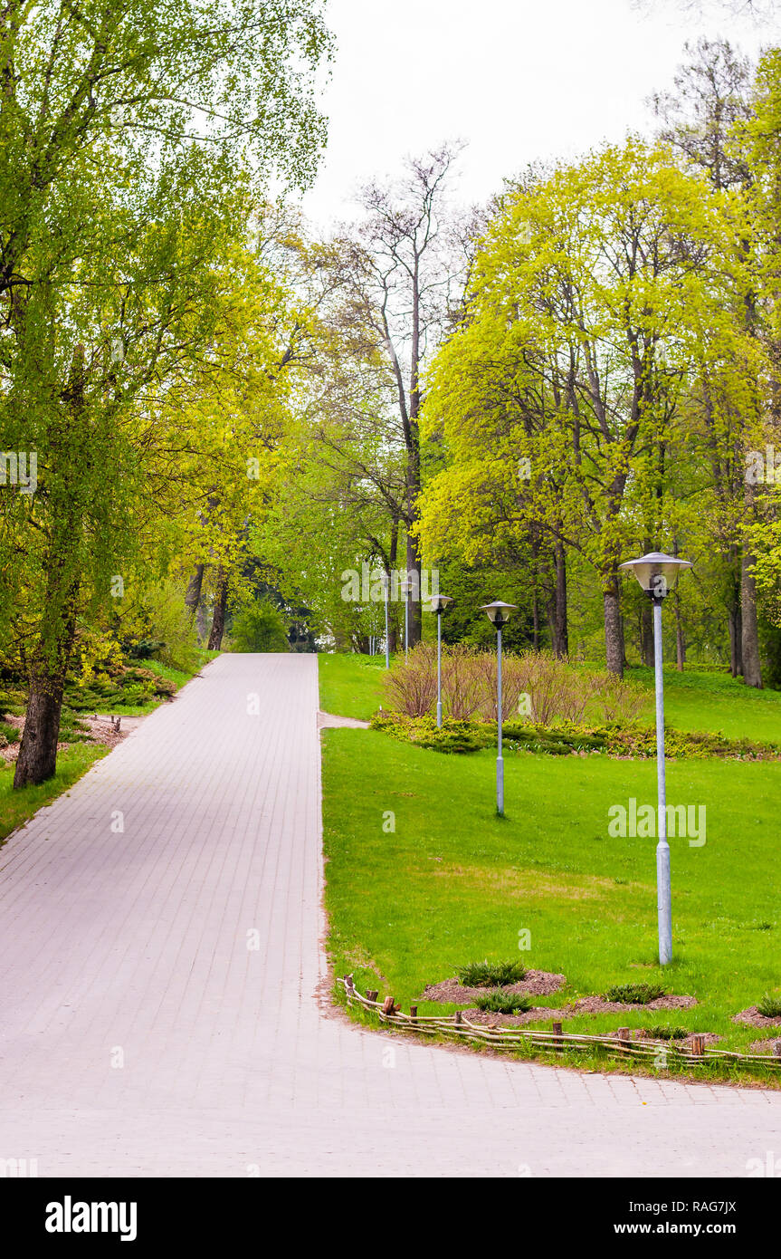 Straight line walking path, pavement with night lanterns surrounded by ...