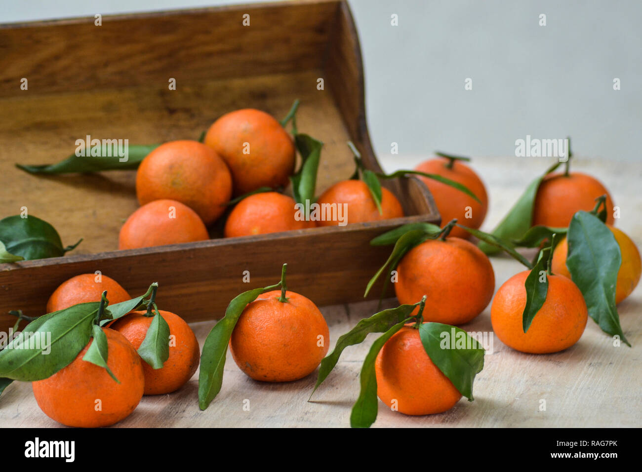 Box mandarin oranges hi-res stock photography and images - Alamy