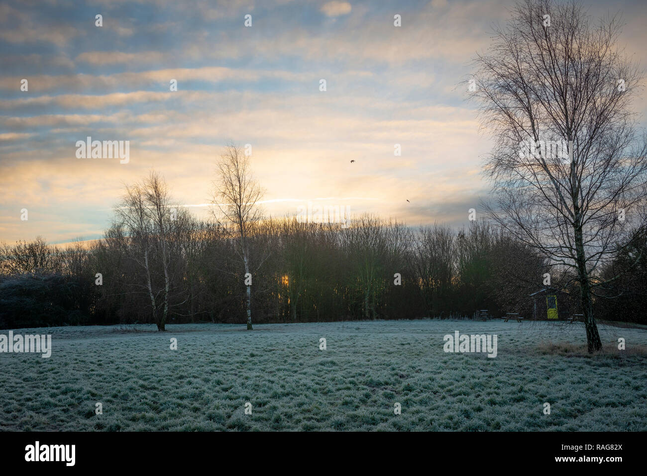 Rural cambridgeshire hi-res stock photography and images - Alamy