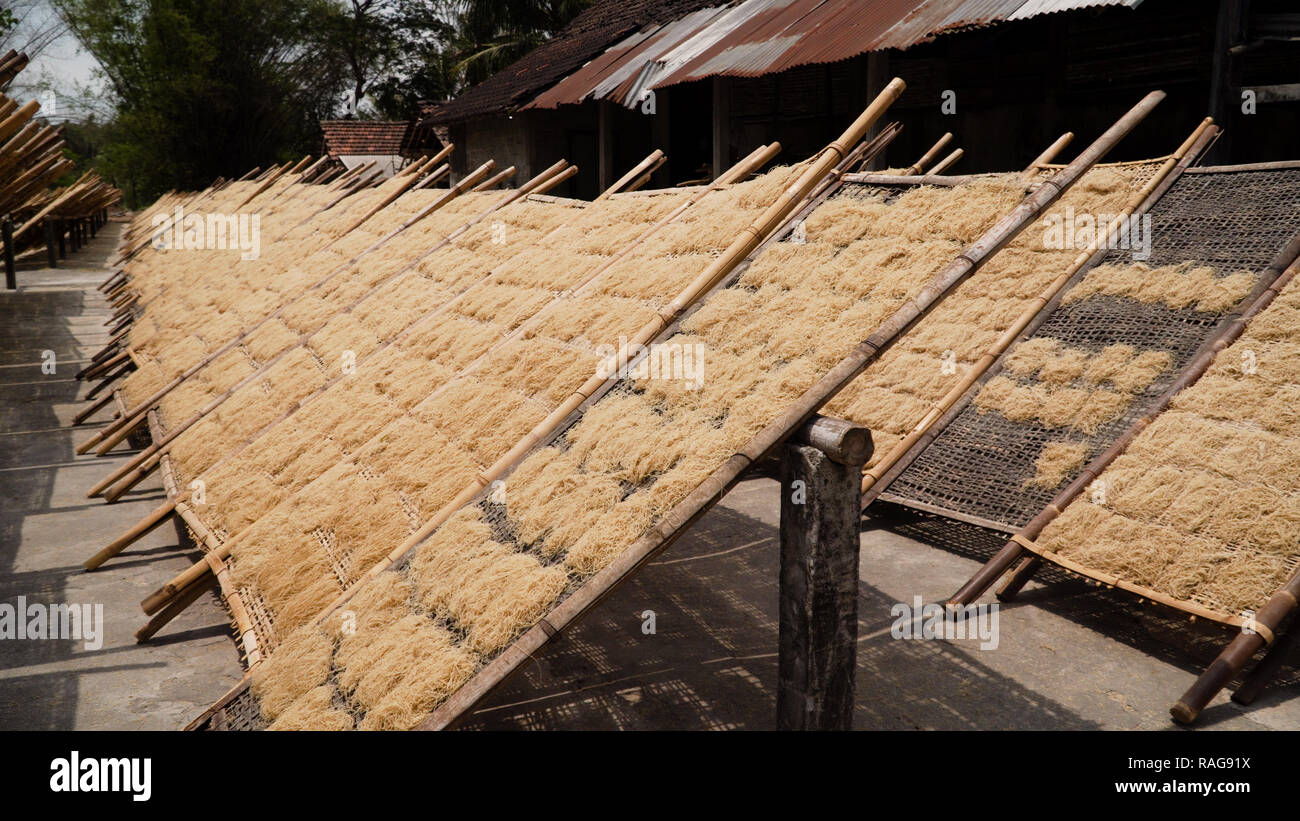 noodle drying in sun at noodle factory in indonesia Bantul, Yogyakarta ...