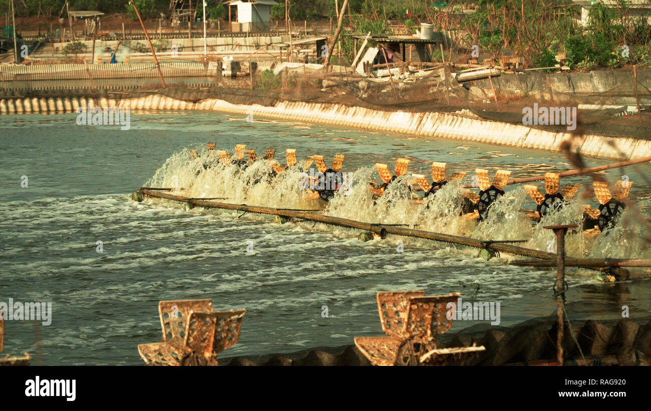 shrimp, prawn farming with with aerator pump for oxygenation water near ...