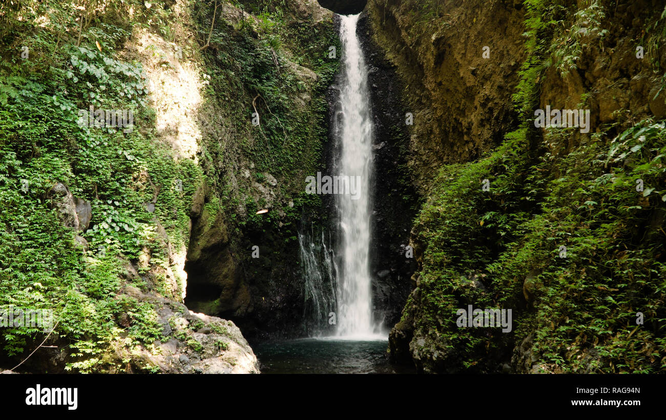 waterfall in green rainforest. tropical waterfall in mountain jungle ...