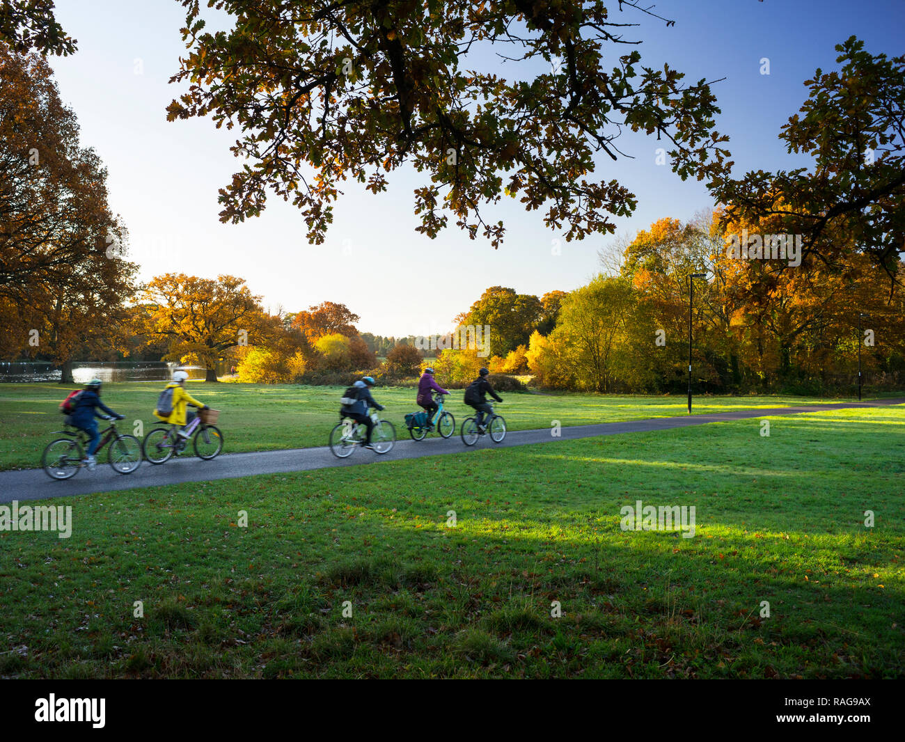 Southampton bike park hi-res stock photography and images - Alamy