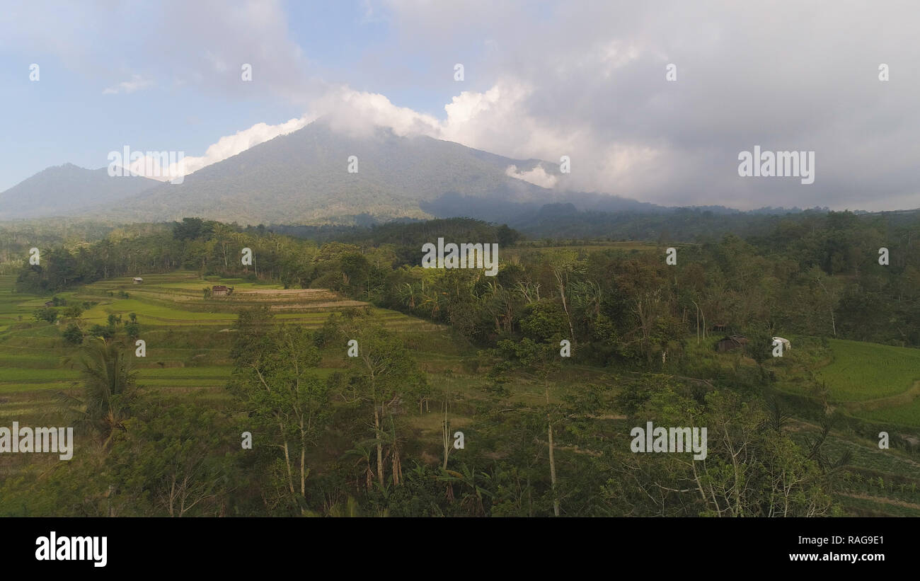 rural landscape with farmlands, rice terraces against mountains. Aerial ...