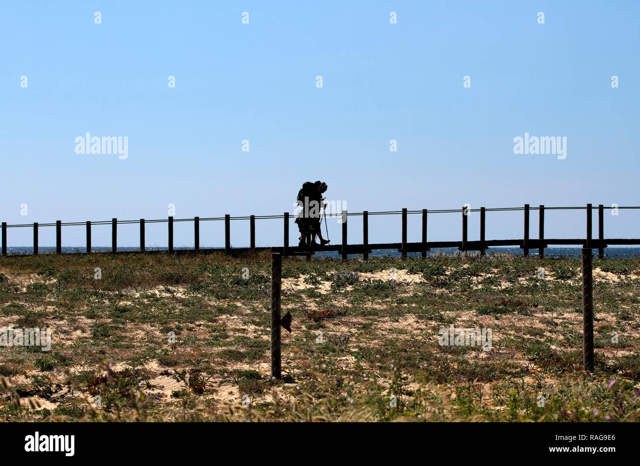 Portuguese way of Santiago by the coast Stock Photo - Alamy