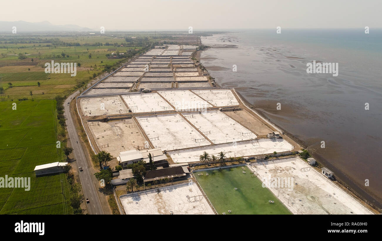 shrimp farm, prawn farming with with aerator pump oxygenation water ...