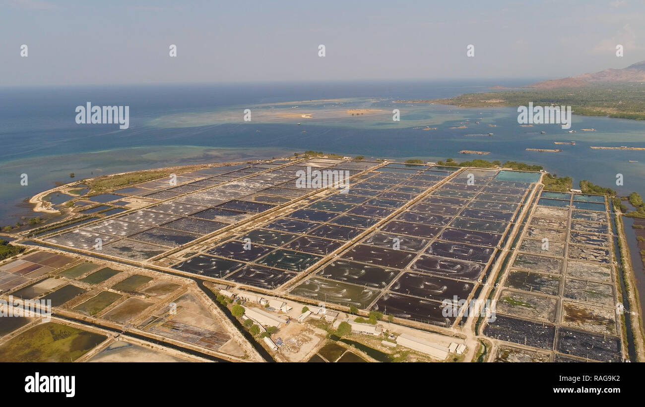 shrimp farm, prawn farming with with aerator pump oxygenation water ...