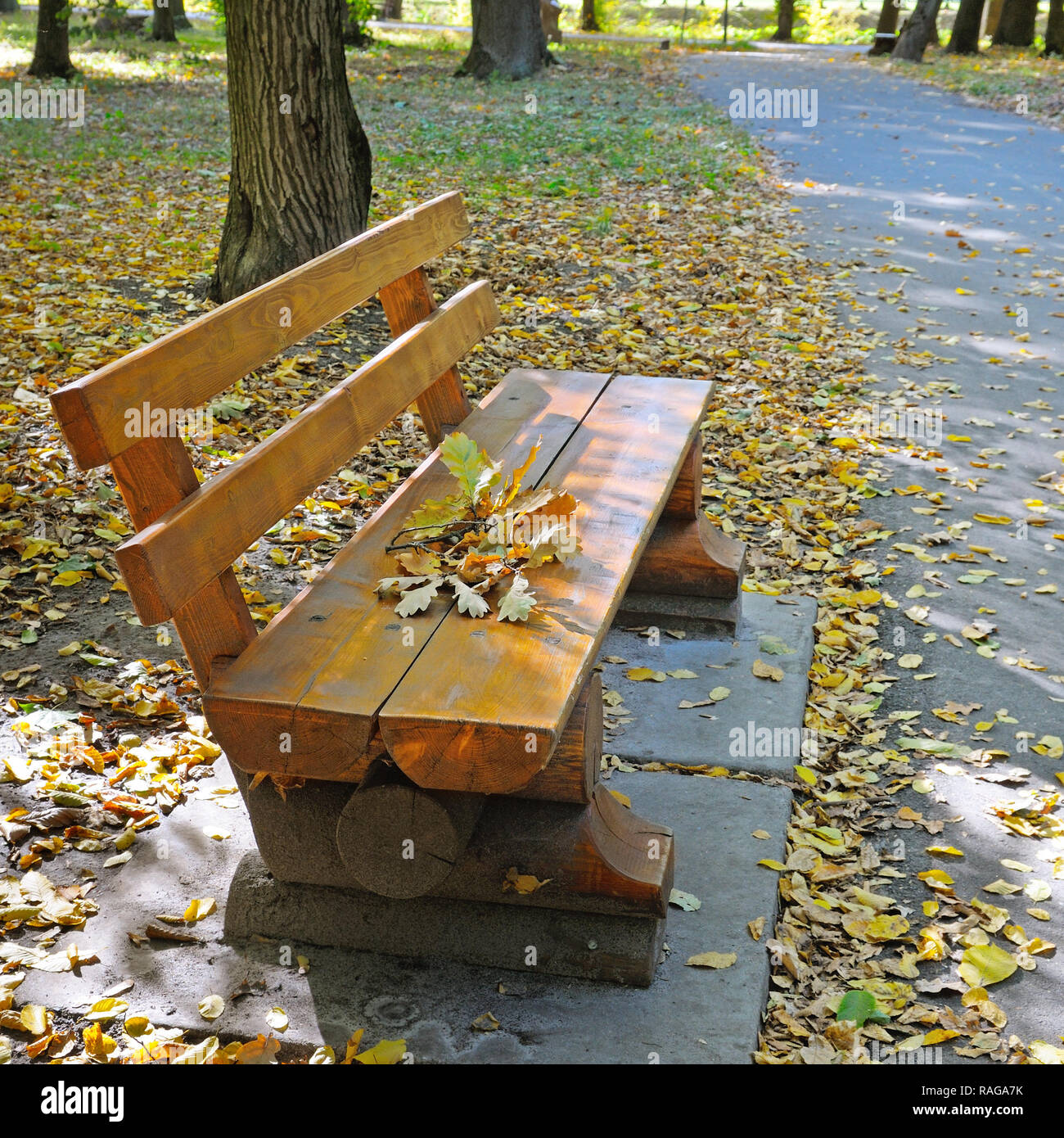 beautiful autumn park with paths and benches Stock Photo - Alamy