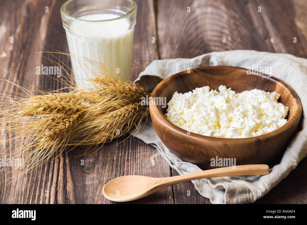 Cottage cheese, milk and ears of wheat on rustic wooden background ...