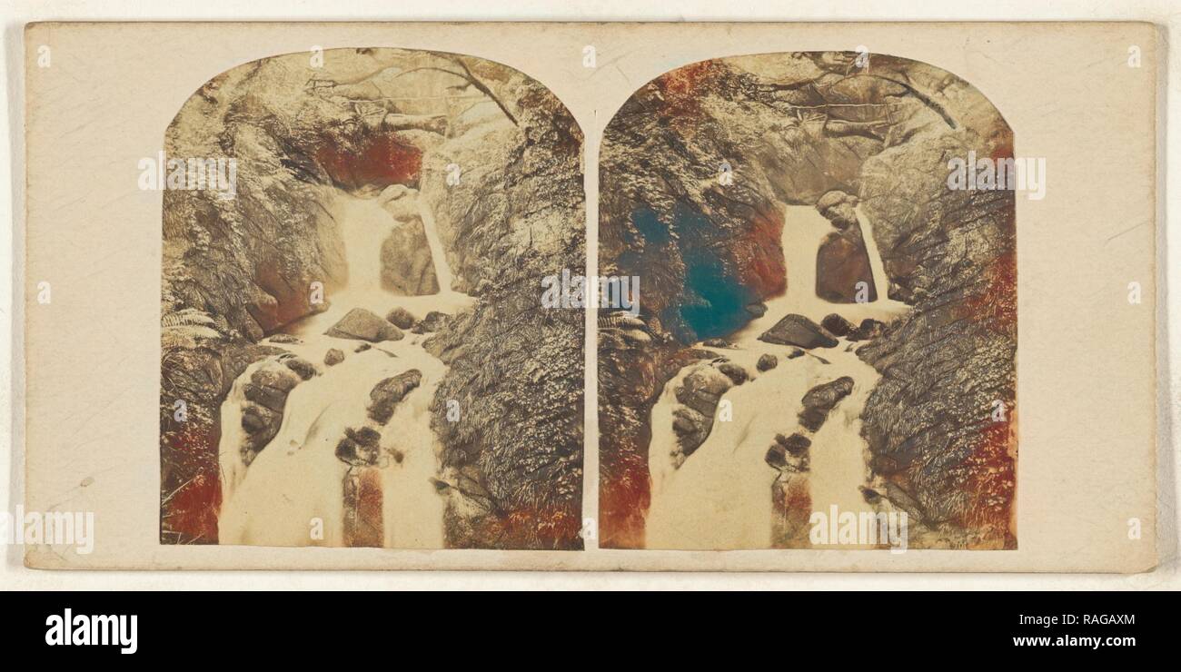 Combe Wood, British, about 1865, Albumen silver print. Reimagined by ...