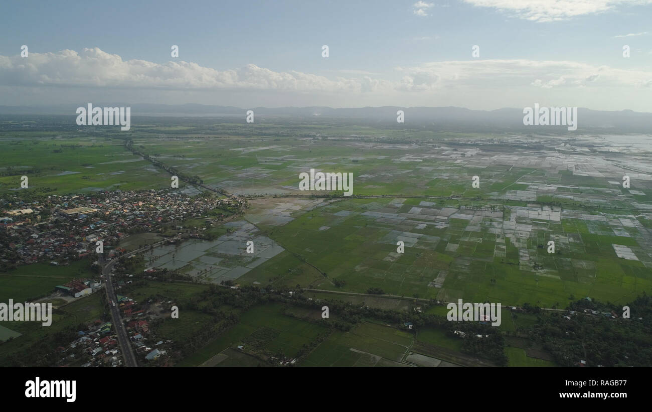 Aerial view of agricultural land, rice terraces near the lake Bato ...