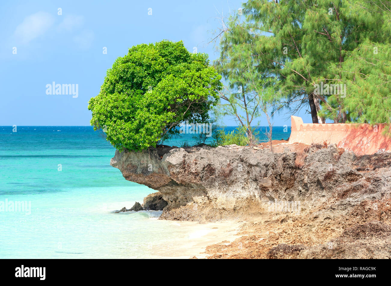 View of Zanzibar tropical beach and sea - Prison island - Indian ocean ...