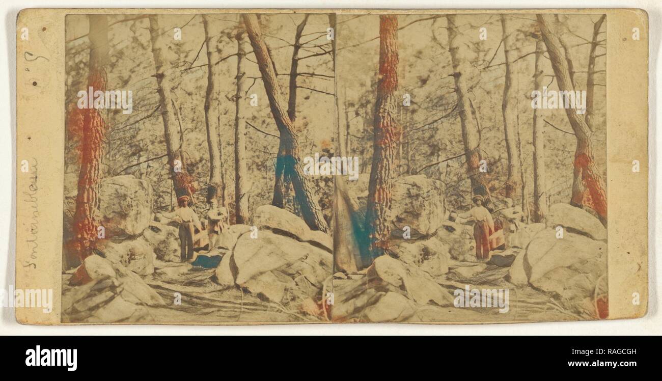 Fontainebleau, French, about 1860, Albumen silver print. Reimagined by ...
