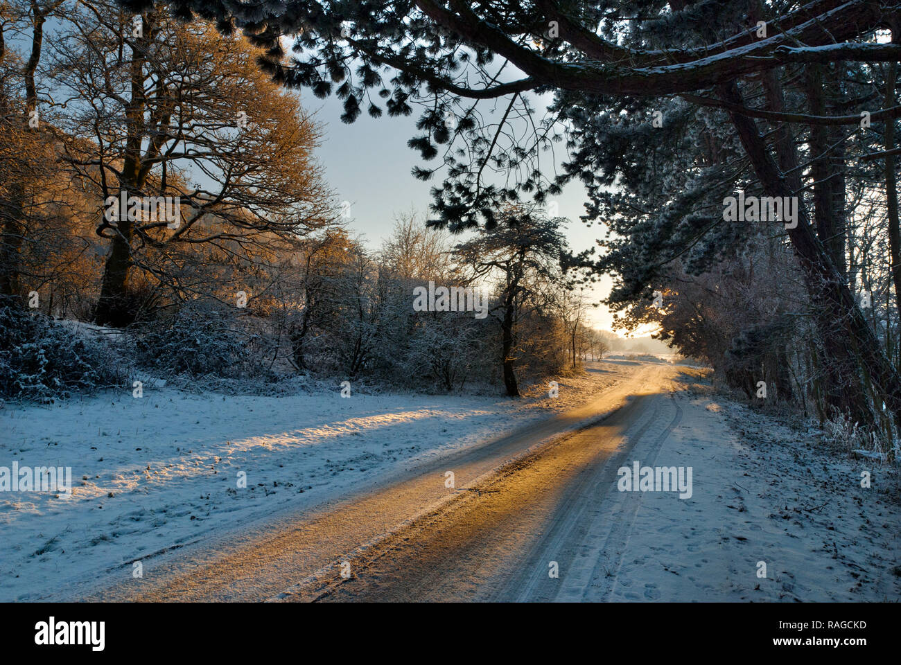 Tarmac road covered with snow hi-res stock photography and images - Alamy