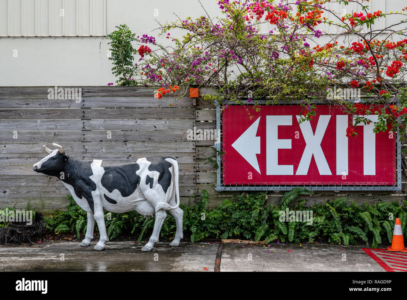 Exit sign at the Yellow Green Farmers Market Stock Photo - Alamy