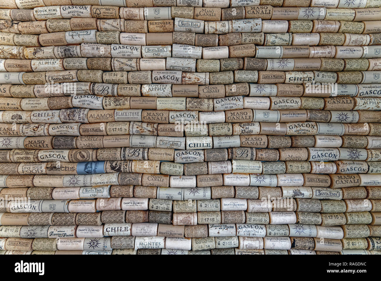 Ft Lauderdale, FL wall of wine corks in various brands in a horizontal ...