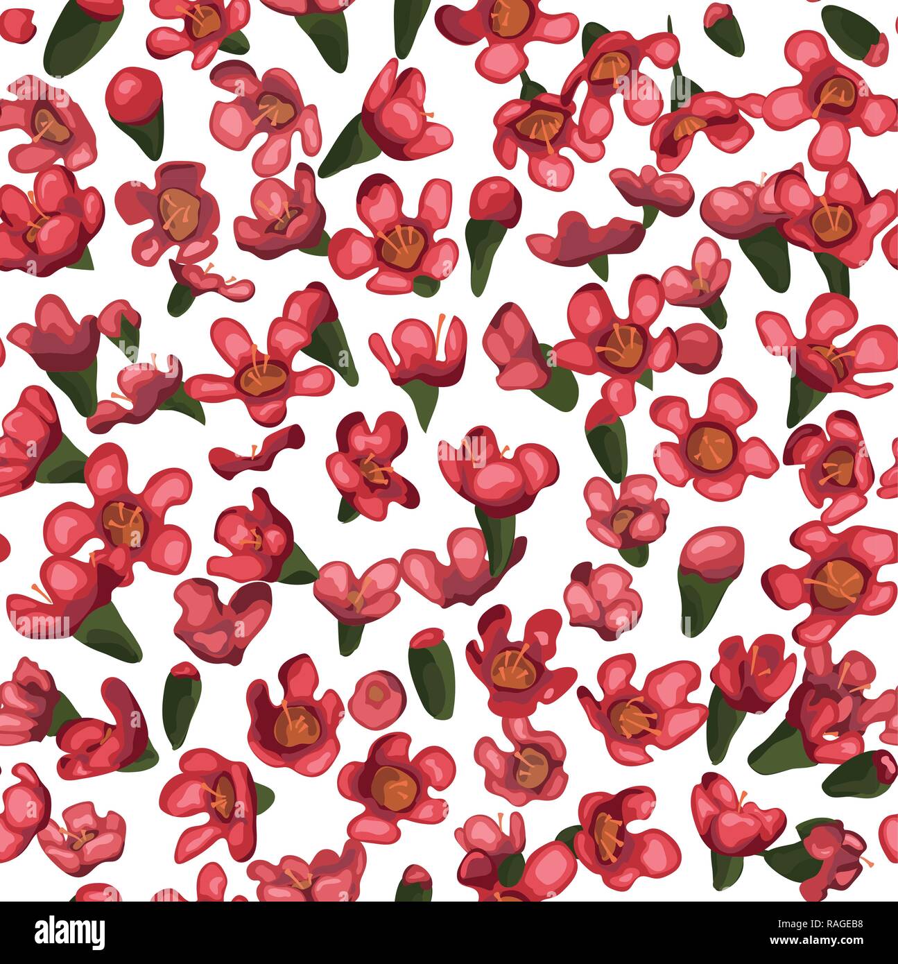 Australian native, seamless pattern hi-res stock photography and images ...