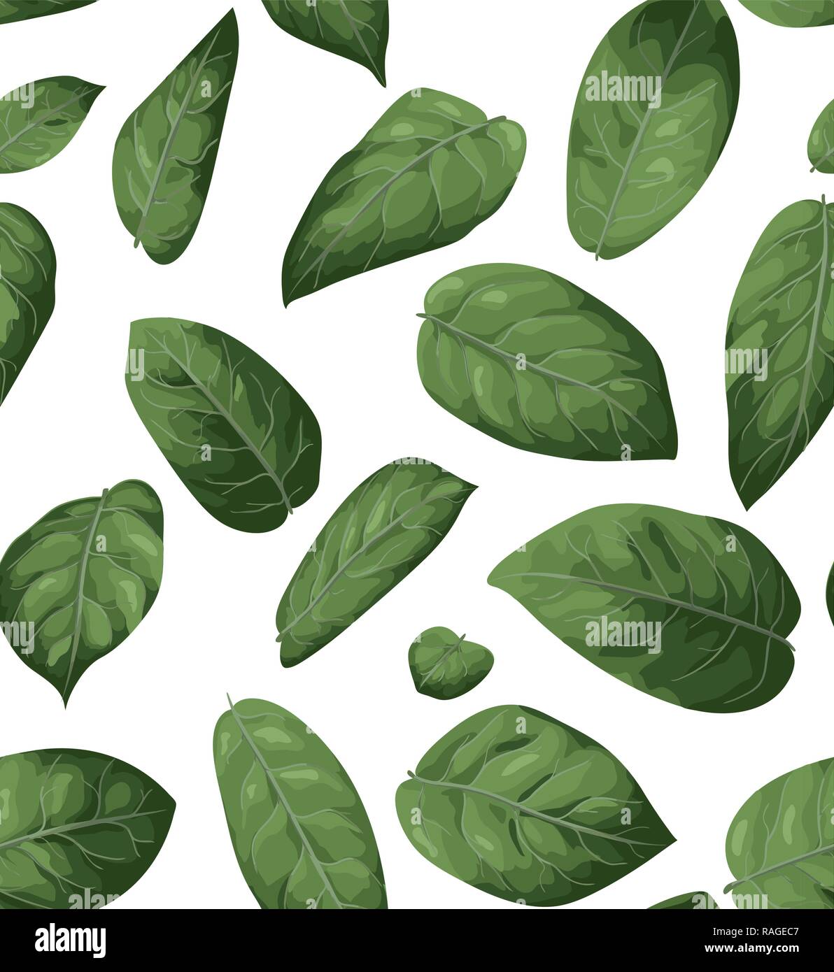 Lemonleaf Stock Vector Images - Alamy