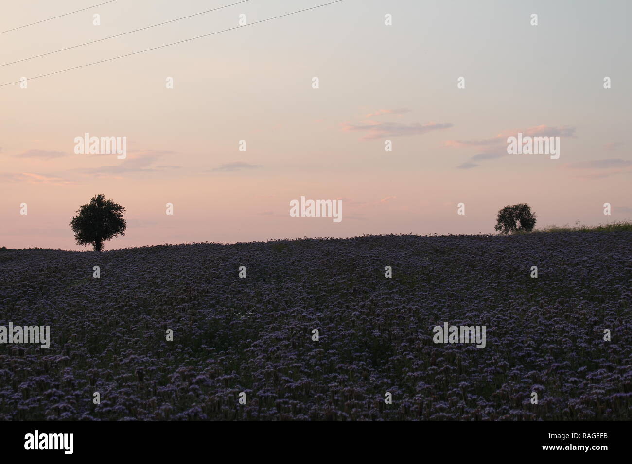 Holy cross sunset hi-res stock photography and images - Alamy