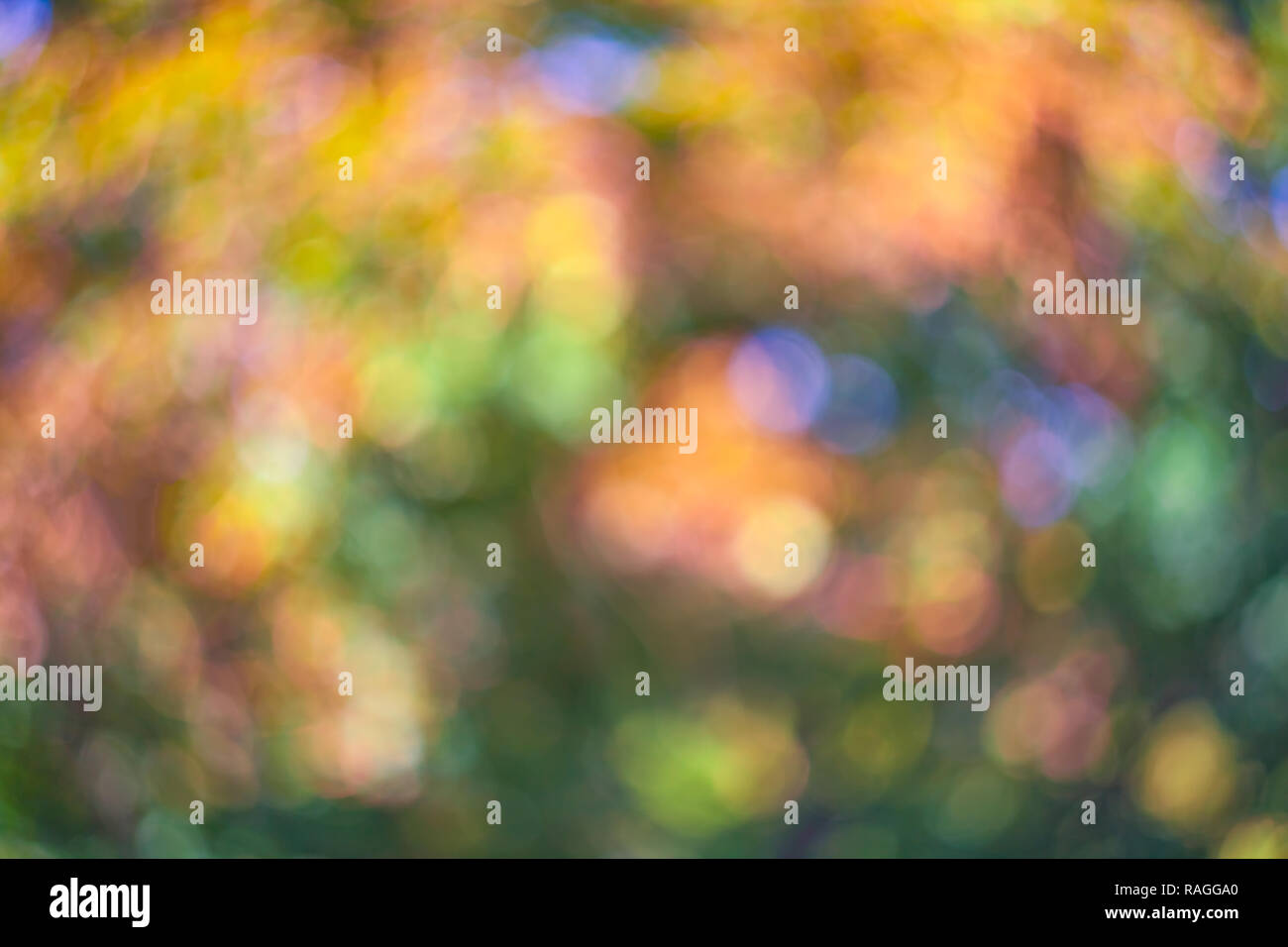 Colorful defocused background of nature leaves pattern Stock Photo - Alamy