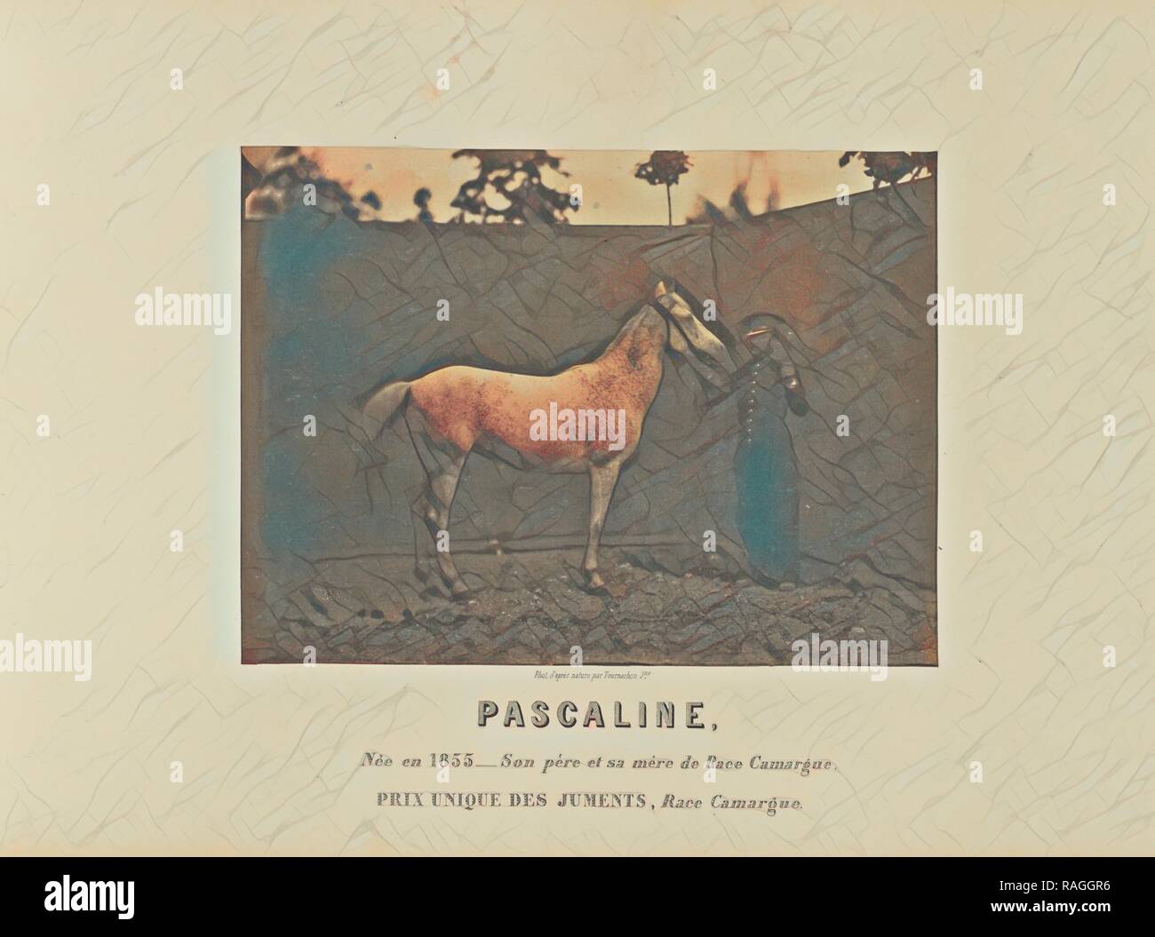 Pascaline hi-res stock photography and images - Alamy