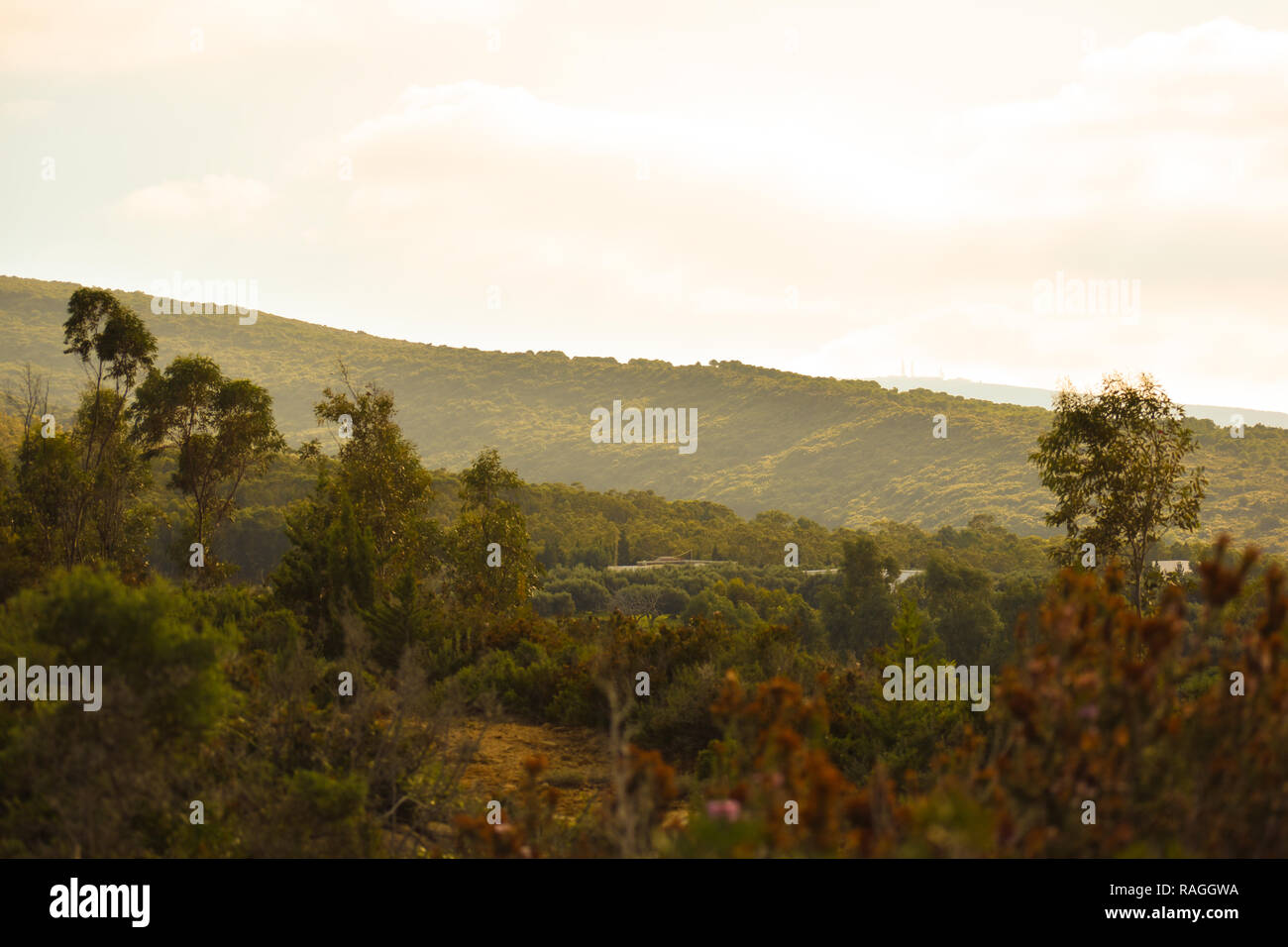 Tunisian sunset hi-res stock photography and images - Alamy