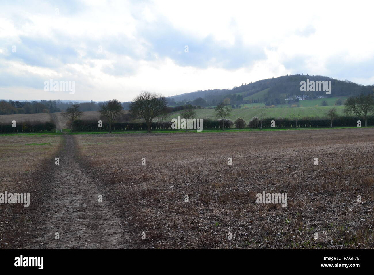 Farningham wood hi-res stock photography and images - Alamy
