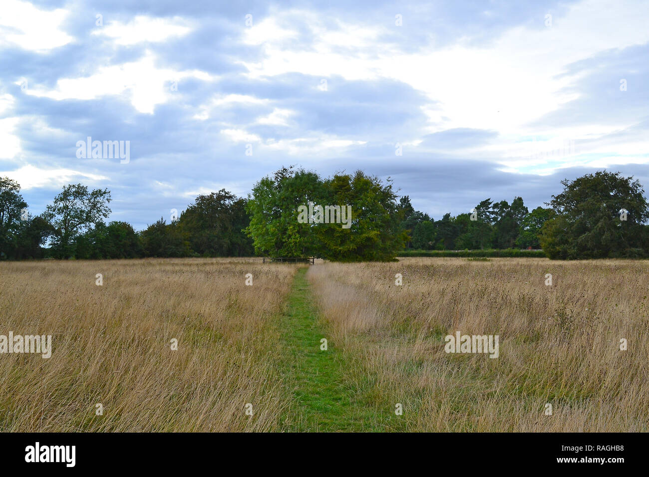 Field next to charles darwins house hi-res stock photography and images ...