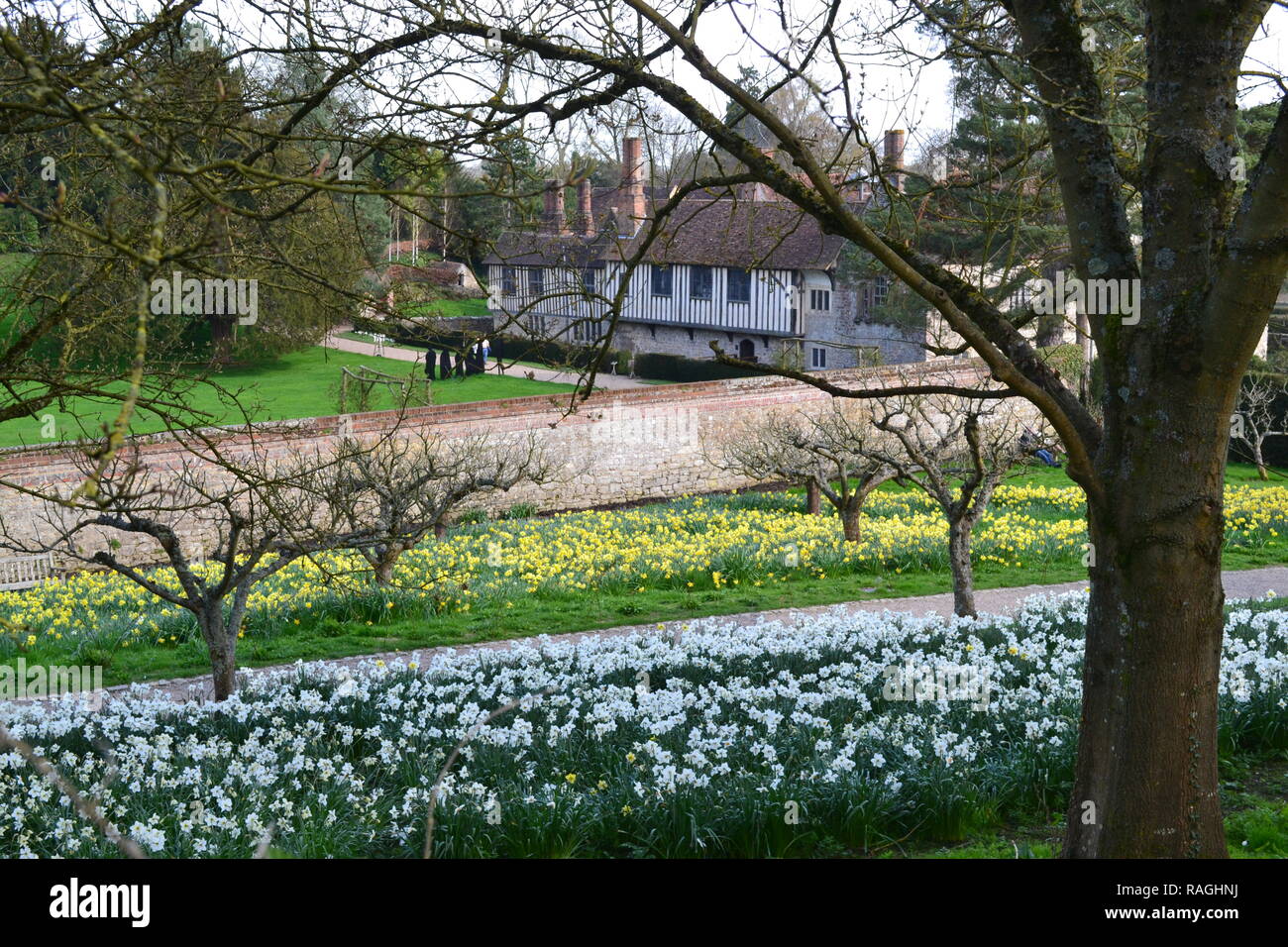 The gardens of Ightham Mote medieval mansion house in early April ...