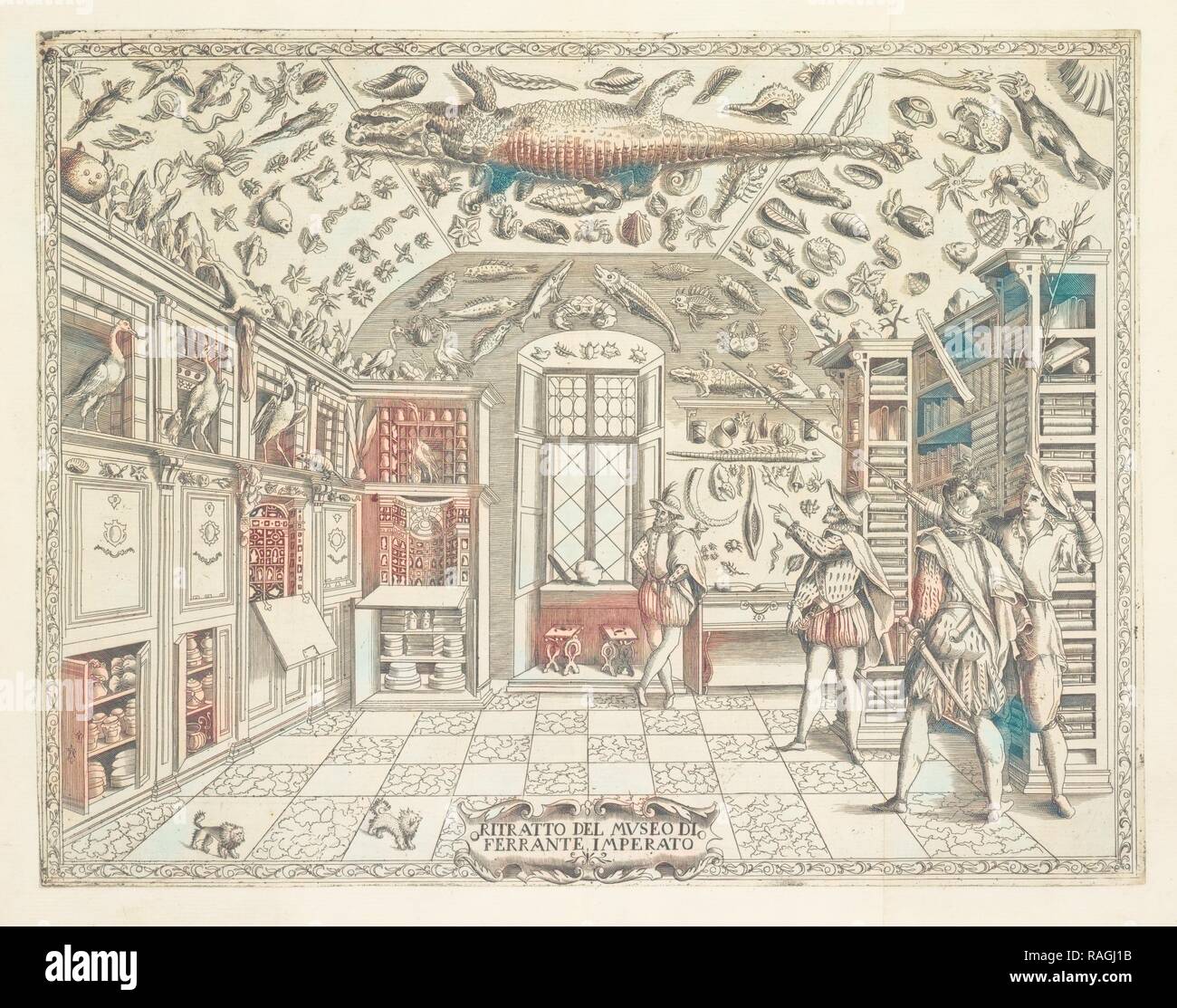 Ritratto del Museo di Ferrante Imperato, Historia natvrale, Imperato ...