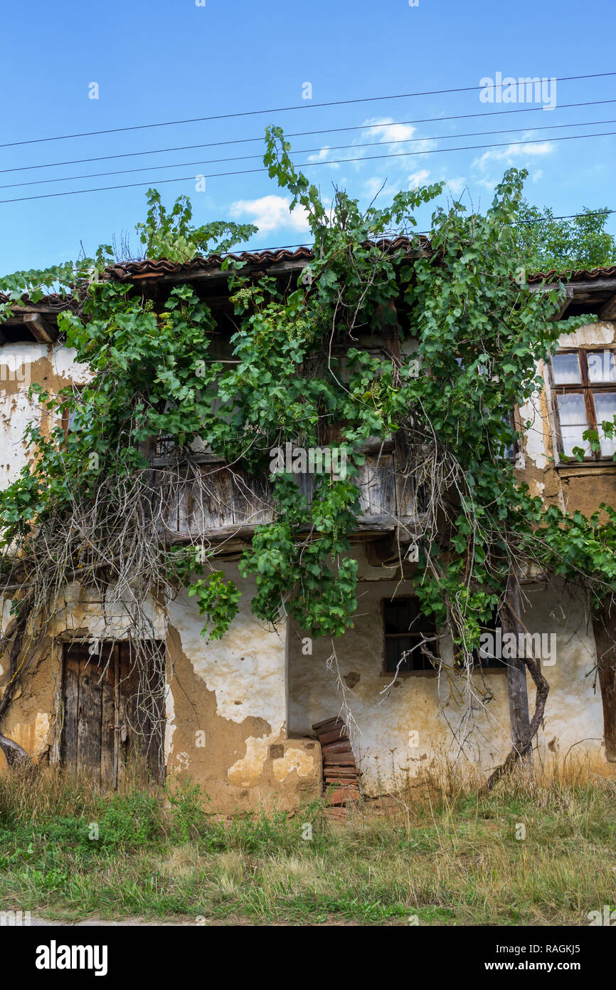 Vine Covered House Stock Photos & Vine Covered House Stock Images - Alamy