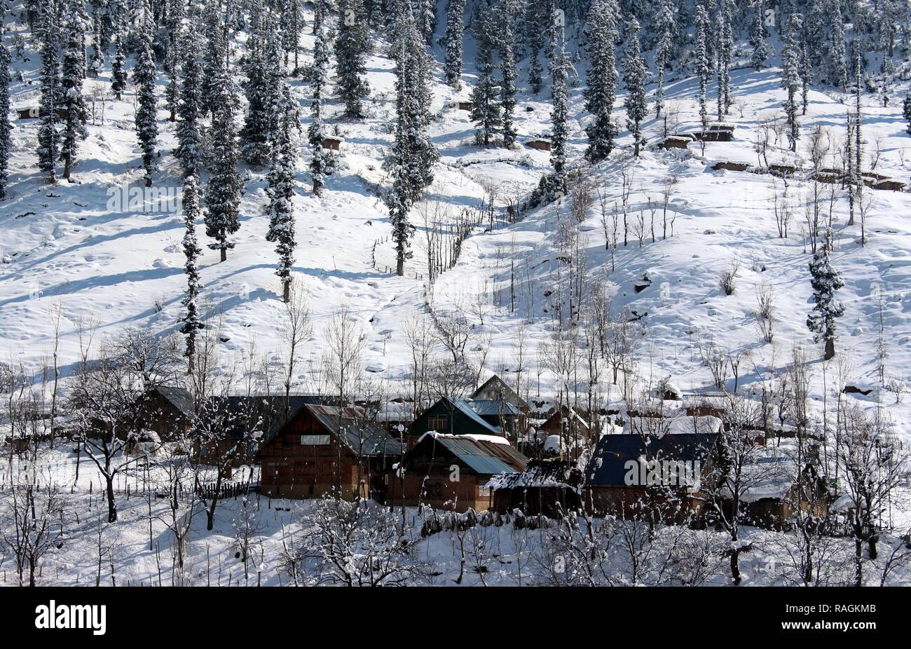 Pahalgam village hi-res stock photography and images - Alamy