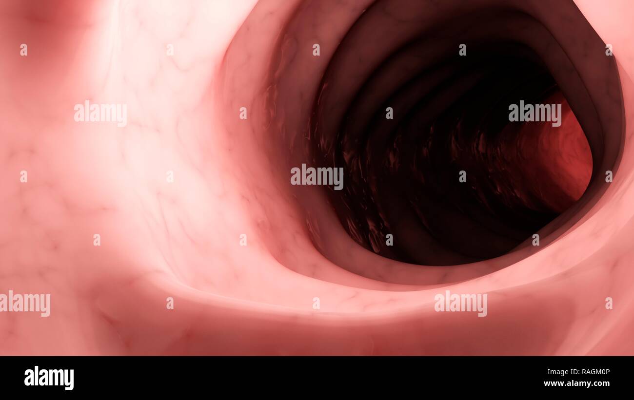 Guts illustration hi-res stock photography and images - Alamy