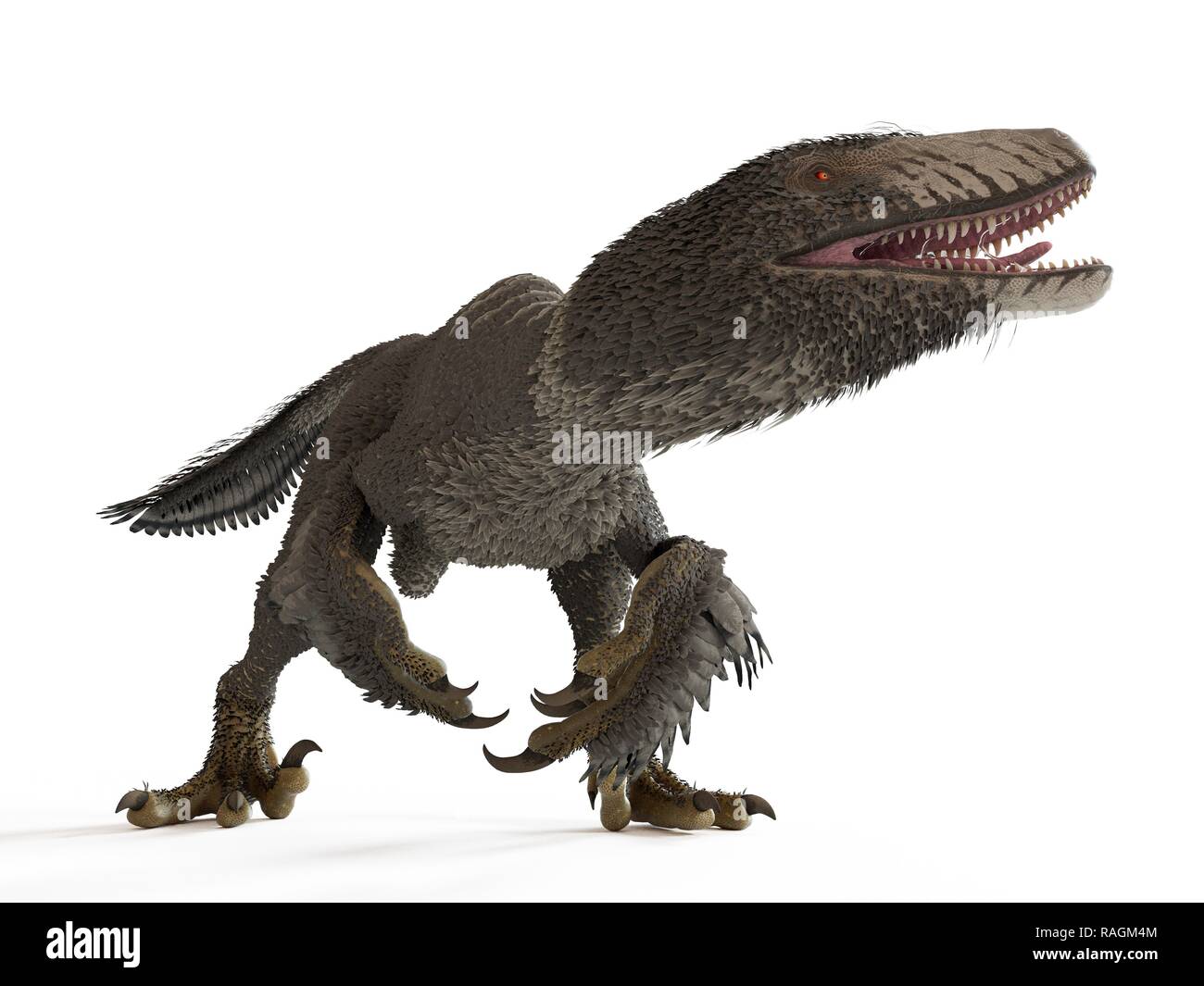 Dakotaraptor hi-res stock photography and images - Alamy