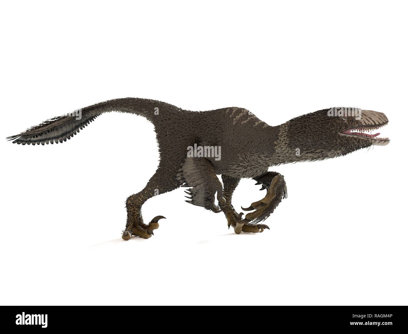 Dakotaraptor hi-res stock photography and images - Alamy