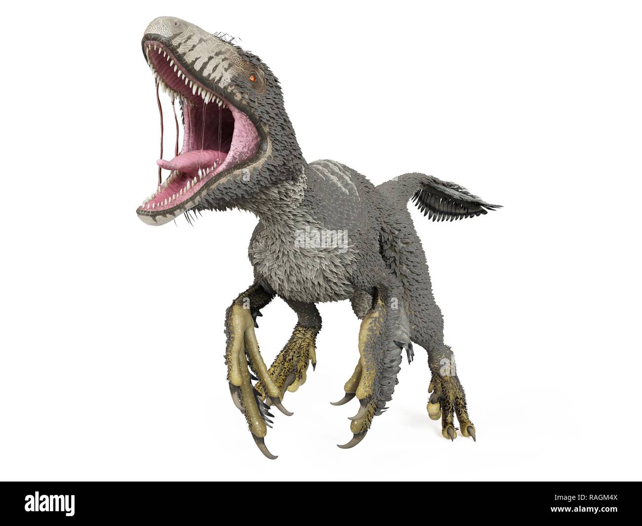 Illustration of a dakotaraptor Stock Photo - Alamy