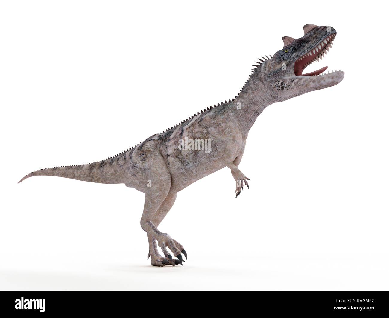 Ceratosaurus dinosaur artwork hi-res stock photography and images - Alamy