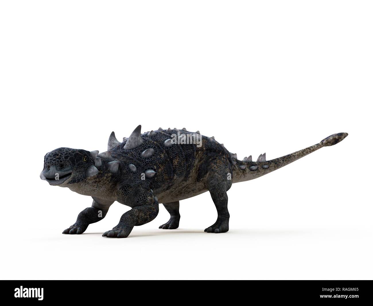 Illustration of a Euoplocephalus Stock Photo - Alamy
