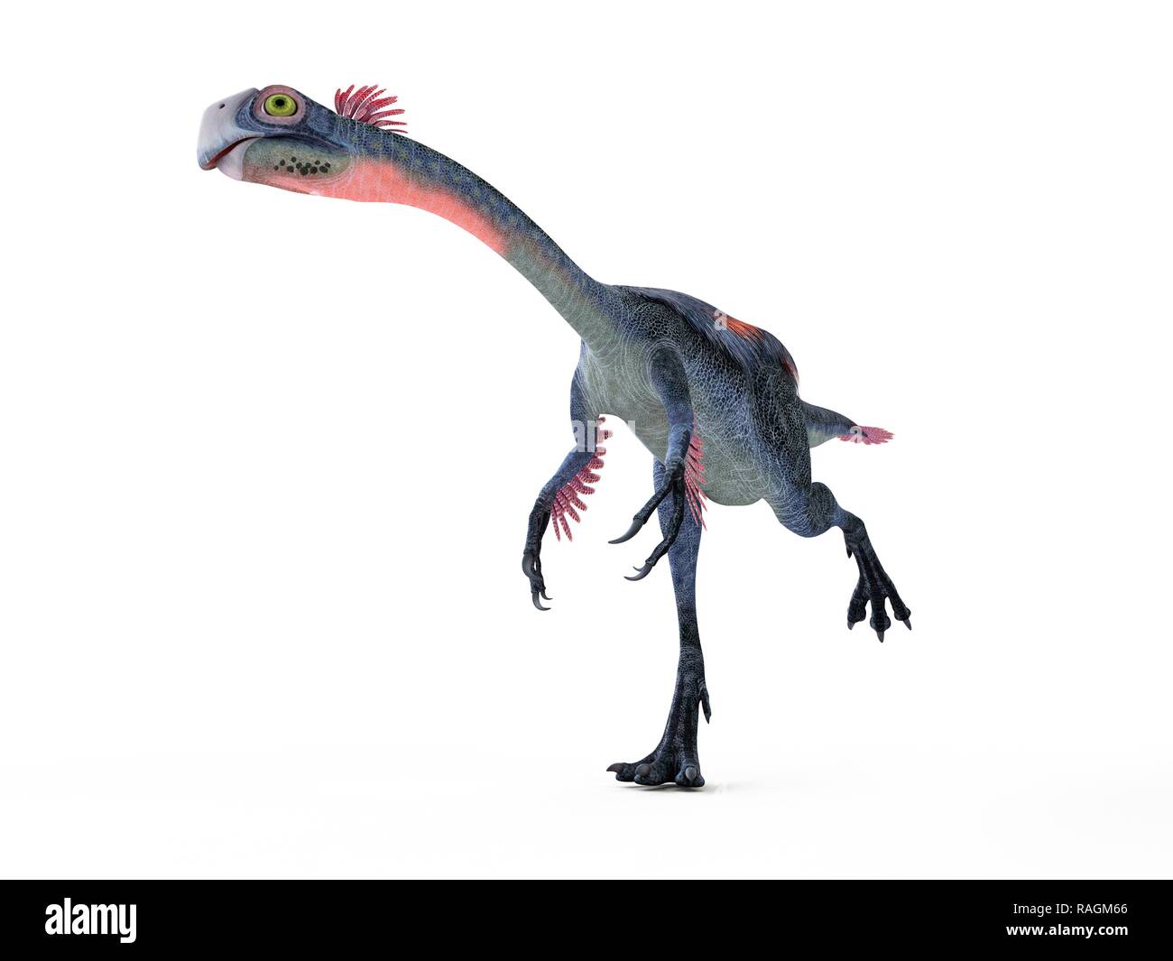 Illustration of a gigantoraptor Stock Photo - Alamy