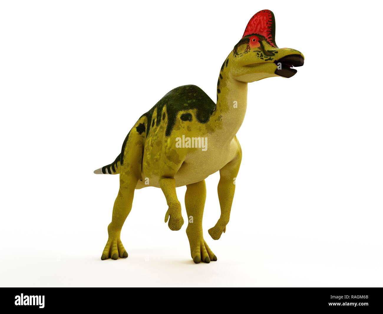 Illustration of a Hadro Corythosaurus Stock Photo - Alamy