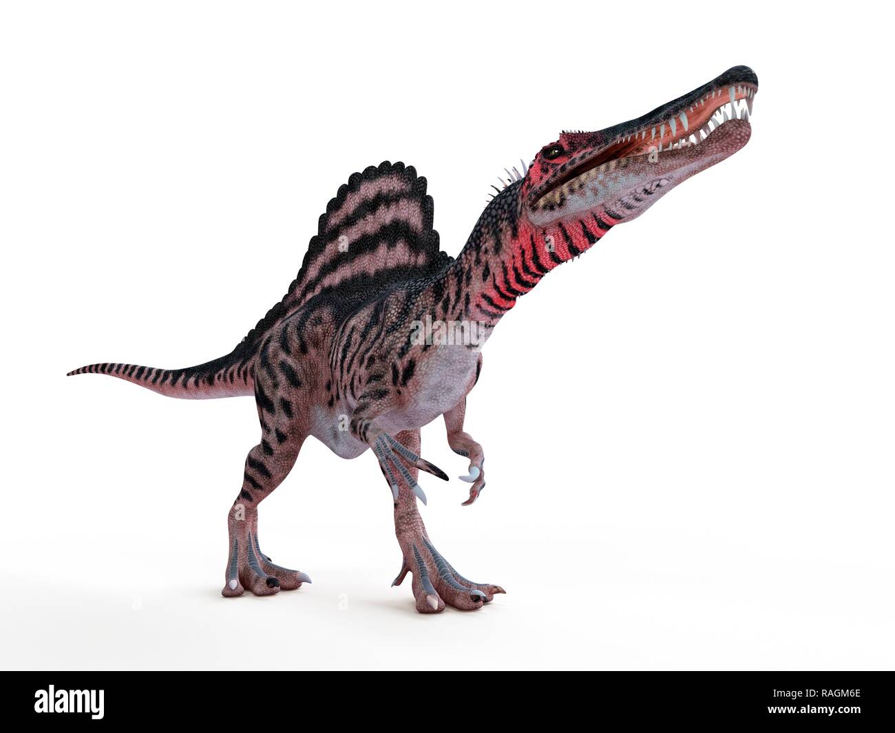 Illustration of a spinosaurus Stock Photo - Alamy