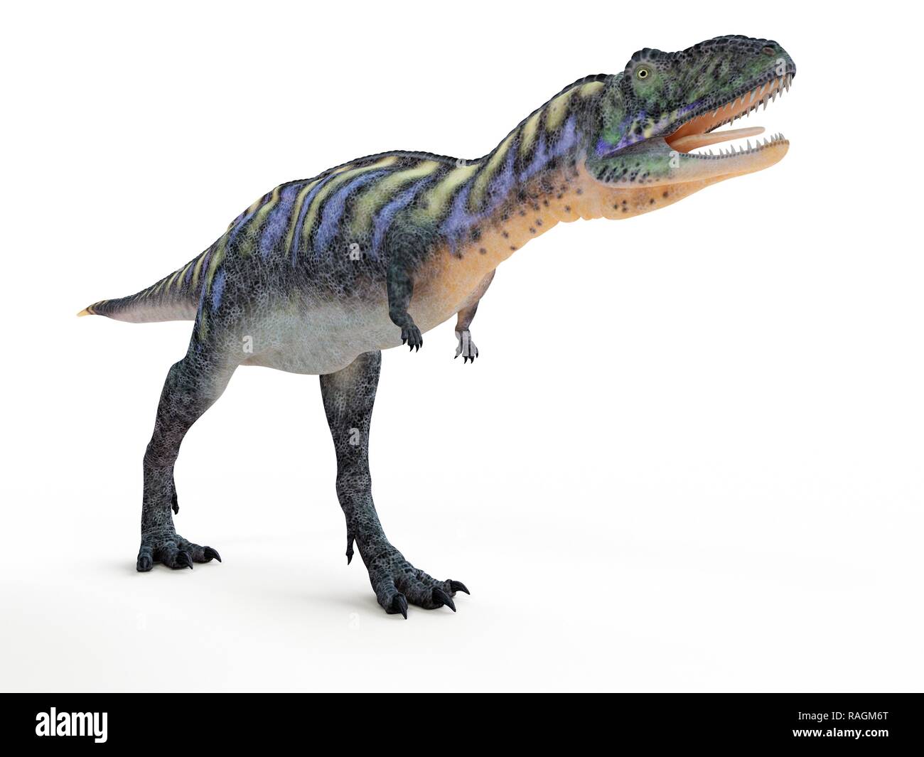 Illustration of a aucasaurus Stock Photo - Alamy