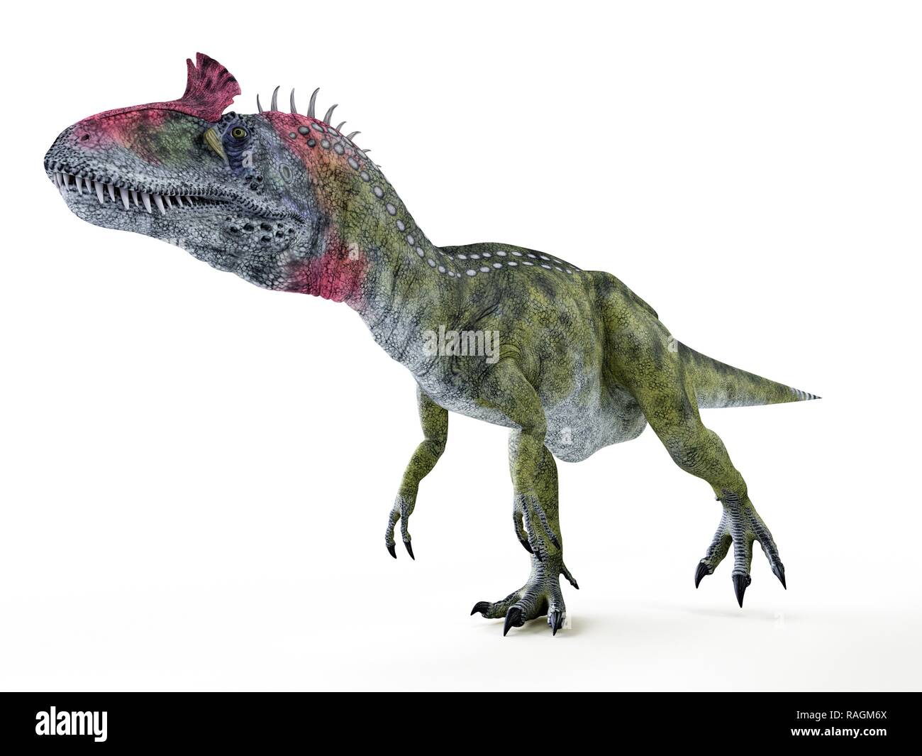 Illustration of a Cryolophosaurus Stock Photo - Alamy
