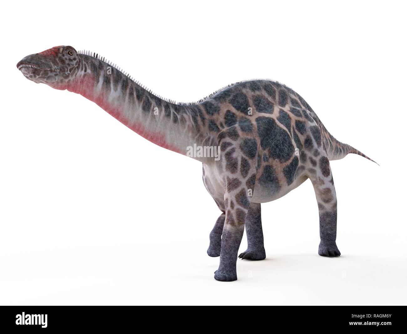 Illustration of a Dicraeosaurus Stock Photo - Alamy