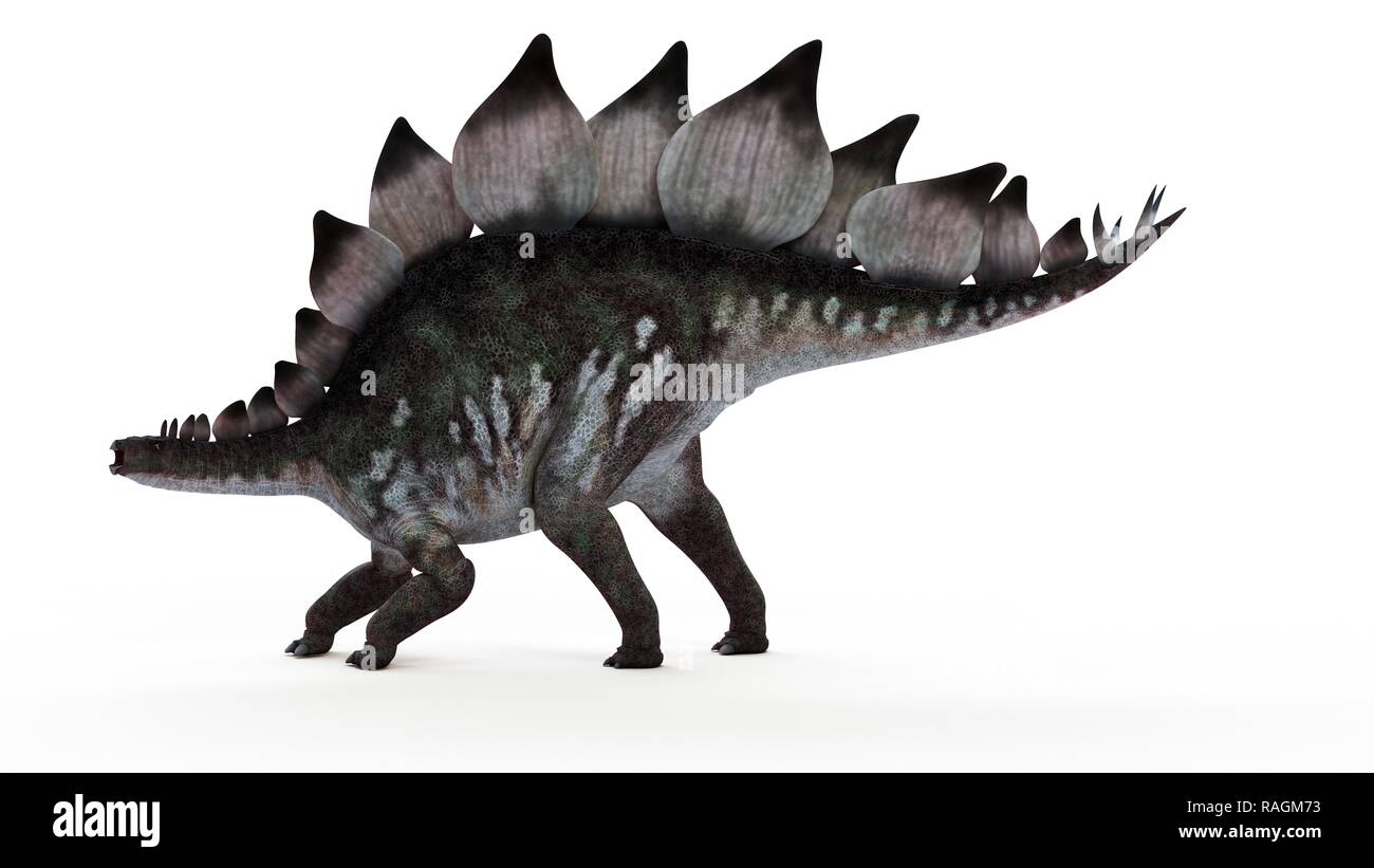 Illustration of a stegosaurus Stock Photo - Alamy