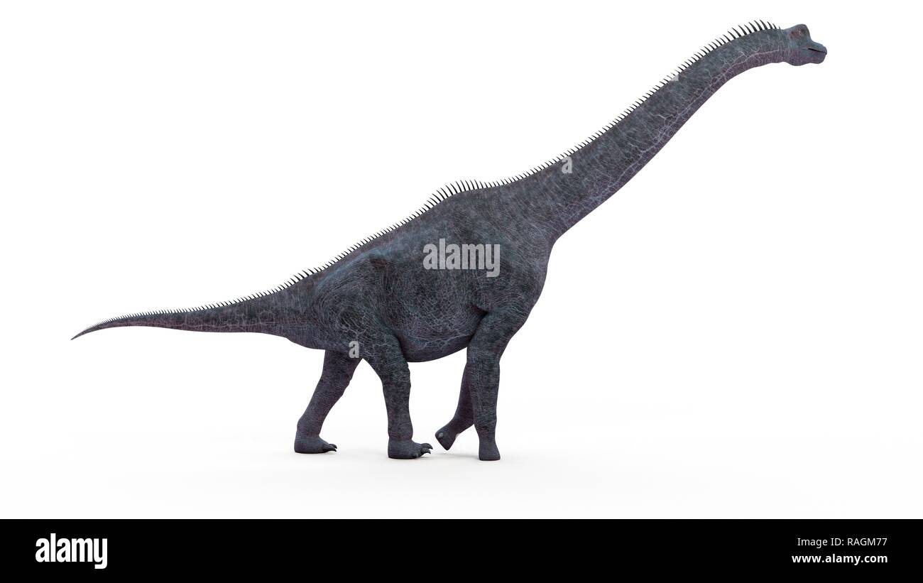Illustration of a brachiosaurus Stock Photo - Alamy