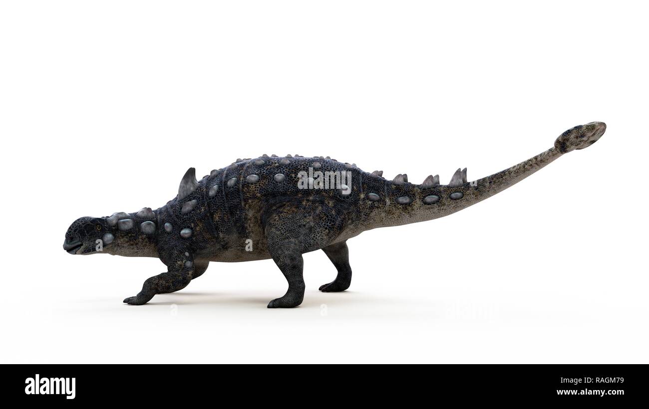 Euoplocephalus High Resolution Stock Photography and Images - Alamy