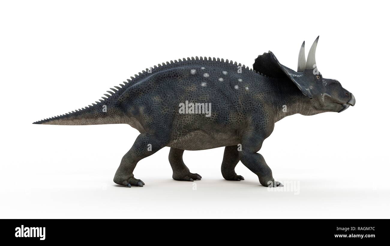 Diceratops hi-res stock photography and images - Alamy